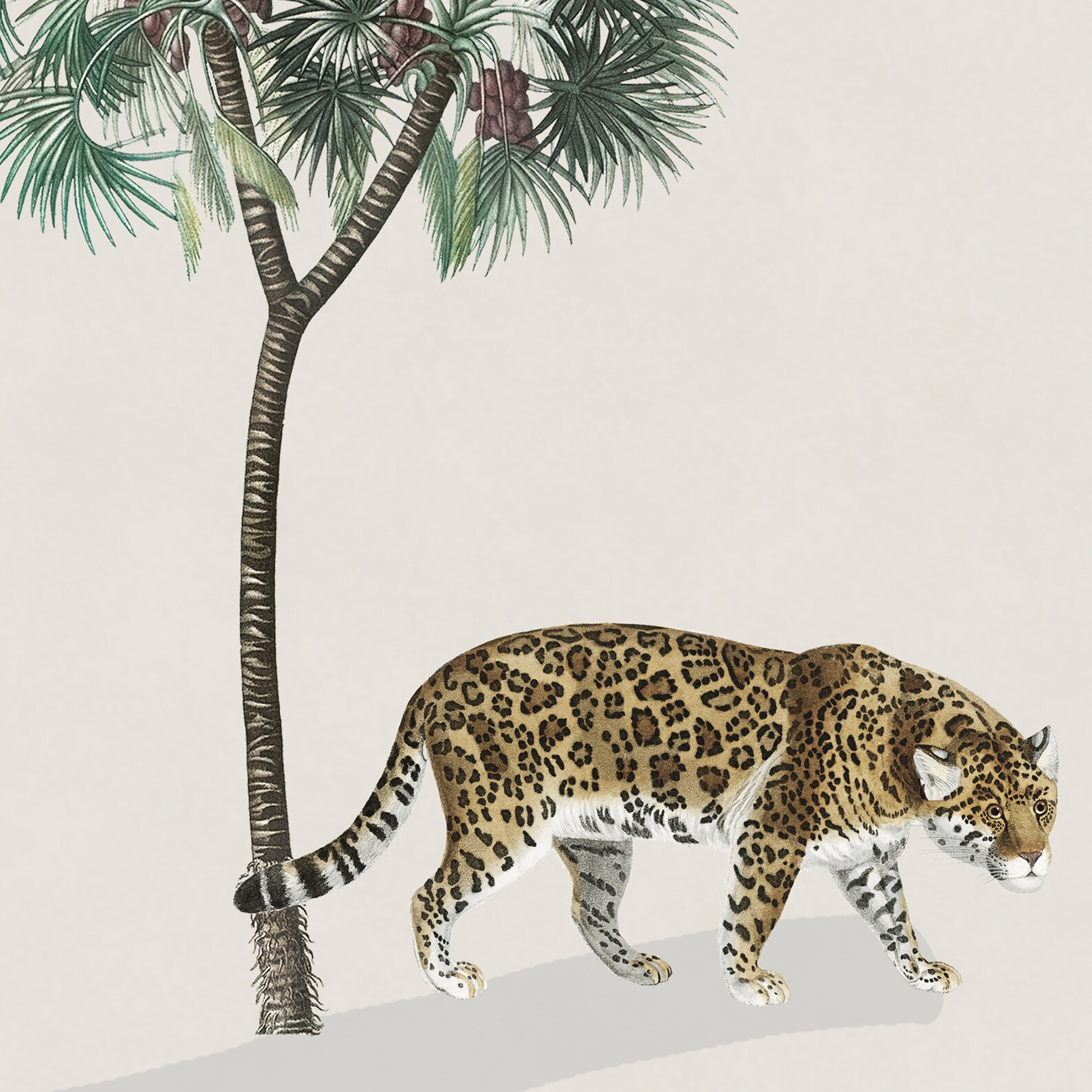 Vintage Leopard Art Print, Mid Century Modern Art, Jungle Theme Tiger ...