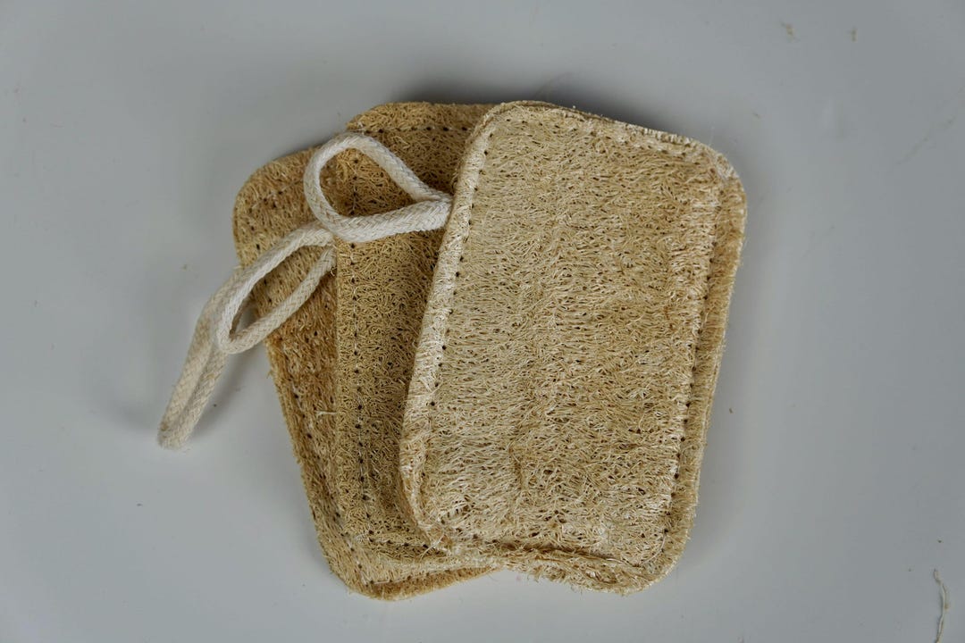 Double Layer Loofah Sponge | Pack of 3 or Single | Organic Loofah ...