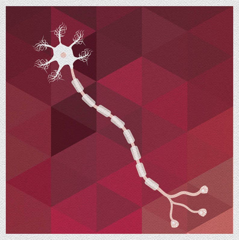 Neurocyte - Etsy