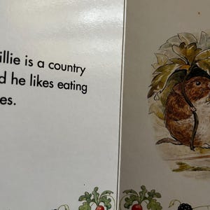 Vintage Children's Book: Beatrix Potter First Board Book Dinner Time ...