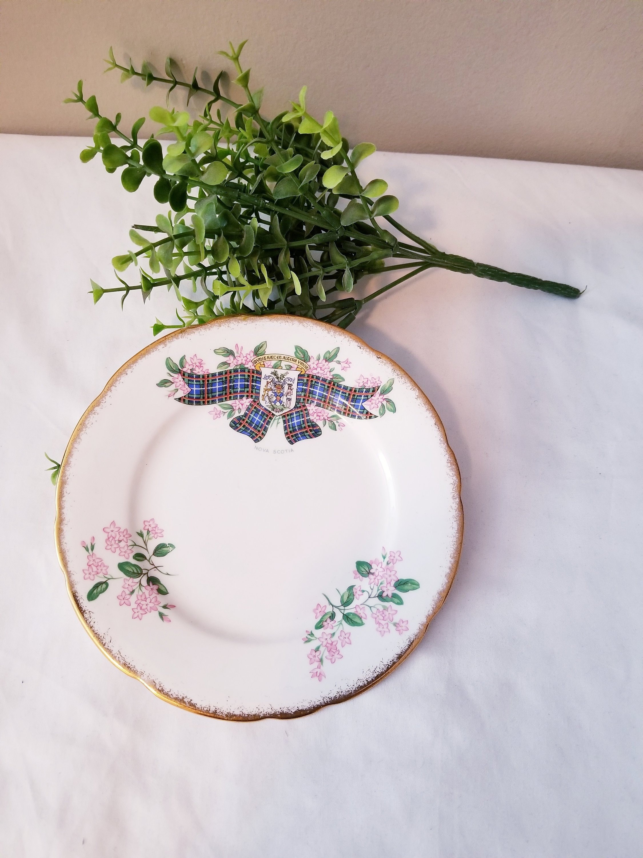 Royal Stafford Bone China Bread or Snacks Plate Collectible-gift ...