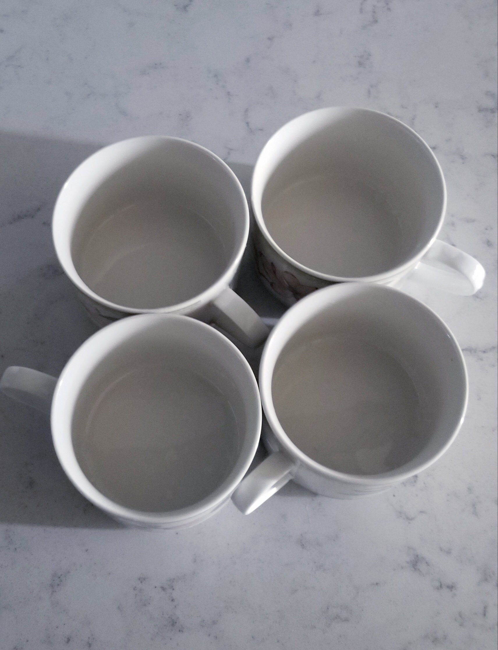 4 Vintage Oneida Fine Porcelain the Select Collection Savannah Mugs ...