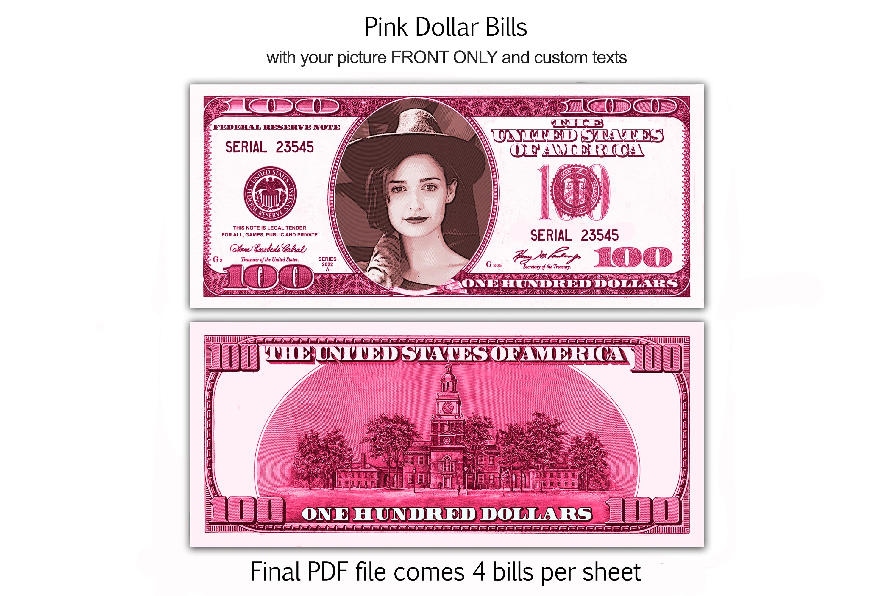 Pink Dollar Bills Clip Art