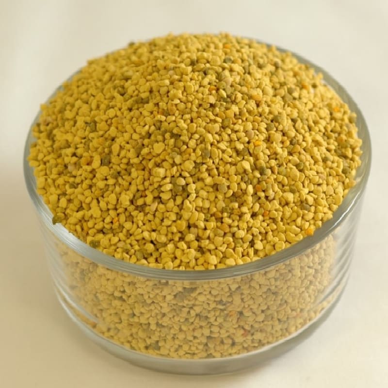 Chicken Bee Raleigh - Etsy Canada