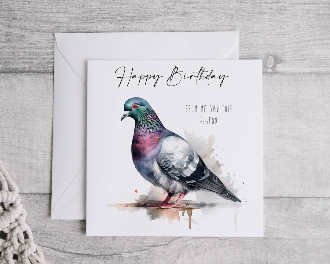 Pigeon Birthday Card, Racing Pigeon Birthday Card - Etsy