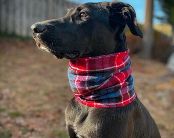 Dog Neck Scarf | Etsy
