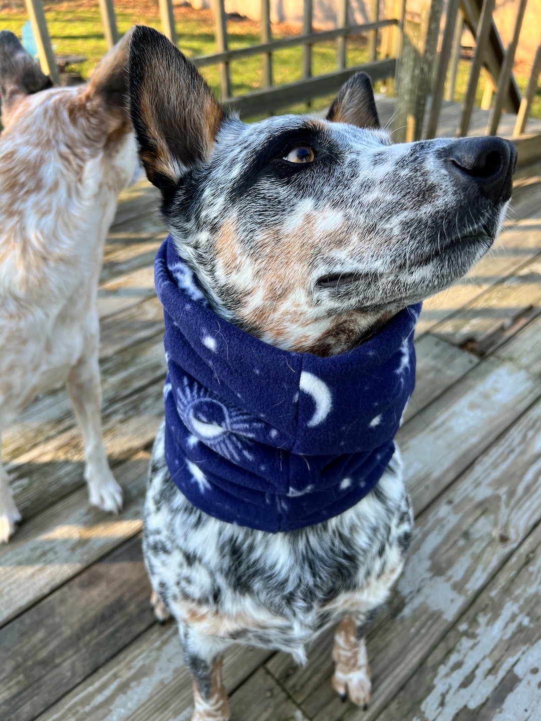 Purple Moon and Stars Dog Scarf, Navy Blue Infinity Scarf, Dog Snood ...