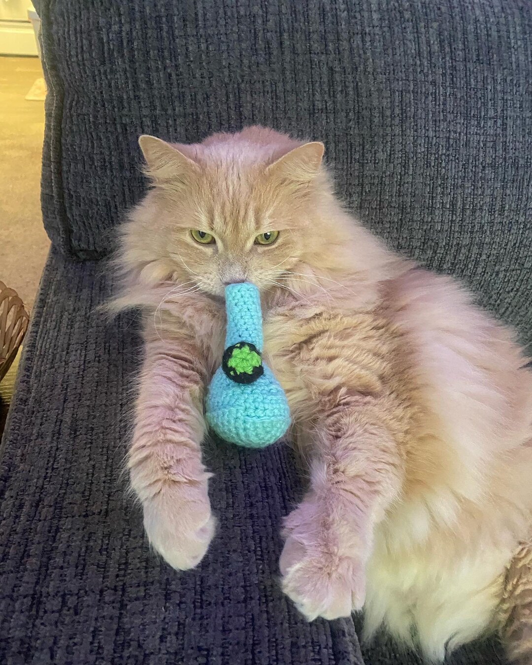 Cat Nip Water Pipe Toy - Etsy