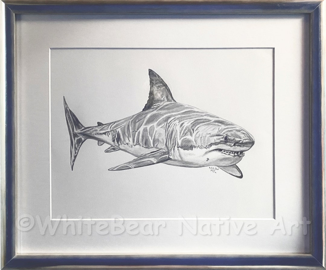 Shark Original Pencil/graphite Drawing framed - Etsy