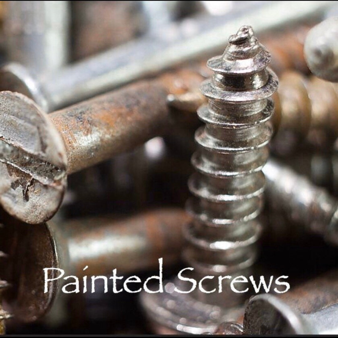 2 Painted Screws to Match All Wall Hangings- Screws, Outlet Screws ...