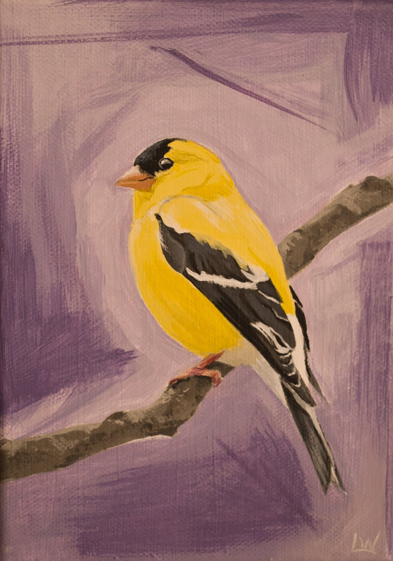 Goldfinch, 5 X 7, Original Acrylic Painting by Lauren White - Etsy