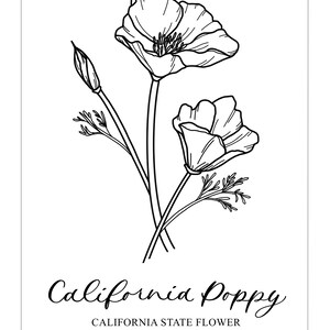 California State Coloring Pages - Etsy
