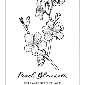 State Flowers Coloring Book Vol 1 - Etsy
