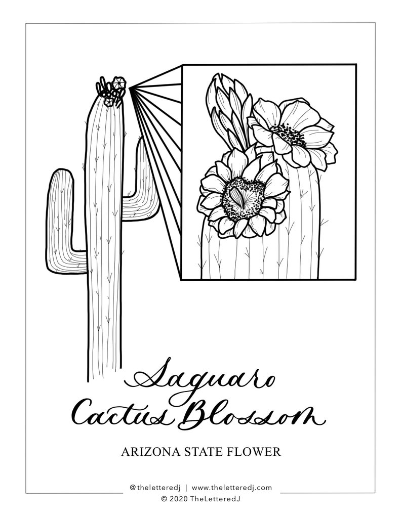 State Flowers Coloring Book Vol 1 - Etsy