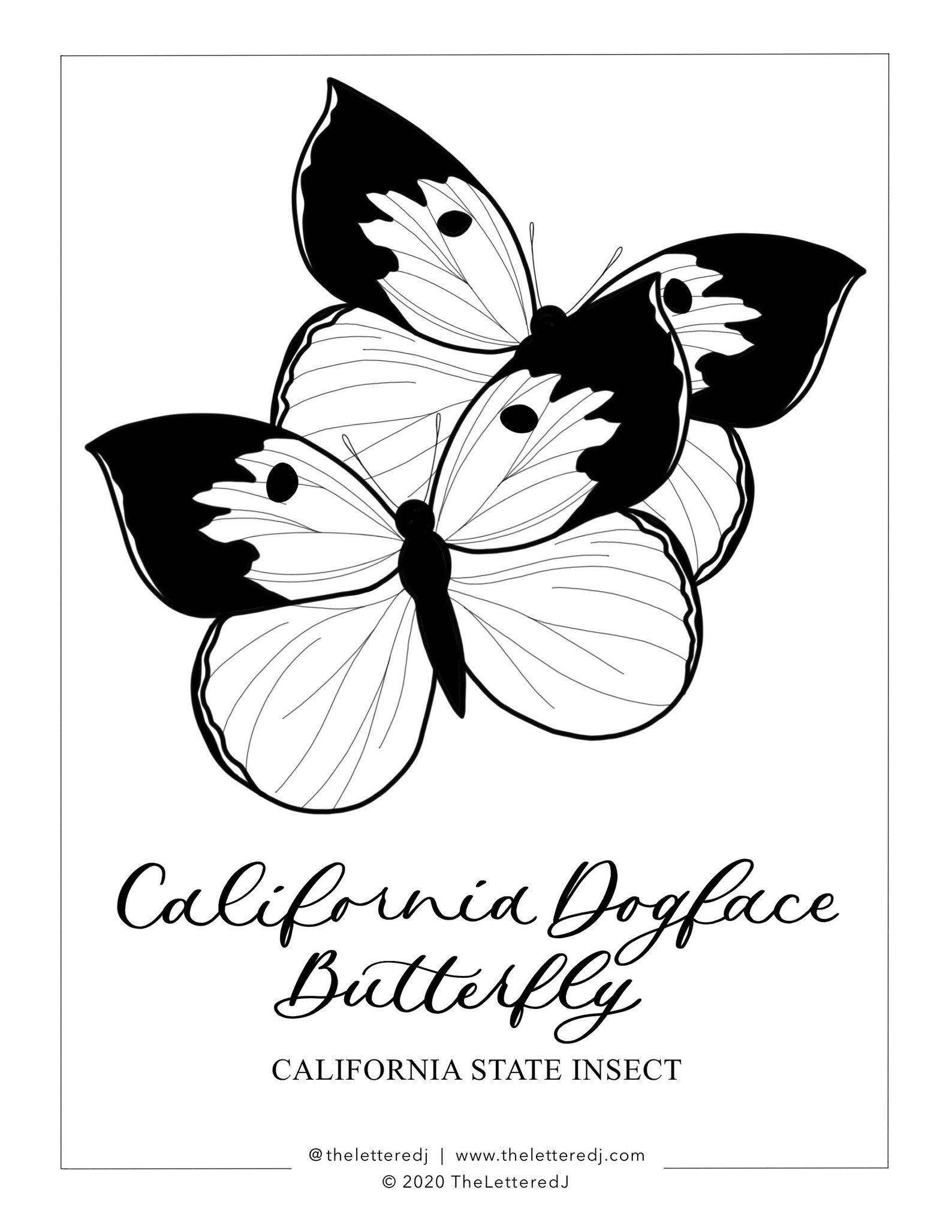 California State Coloring Pages - Etsy