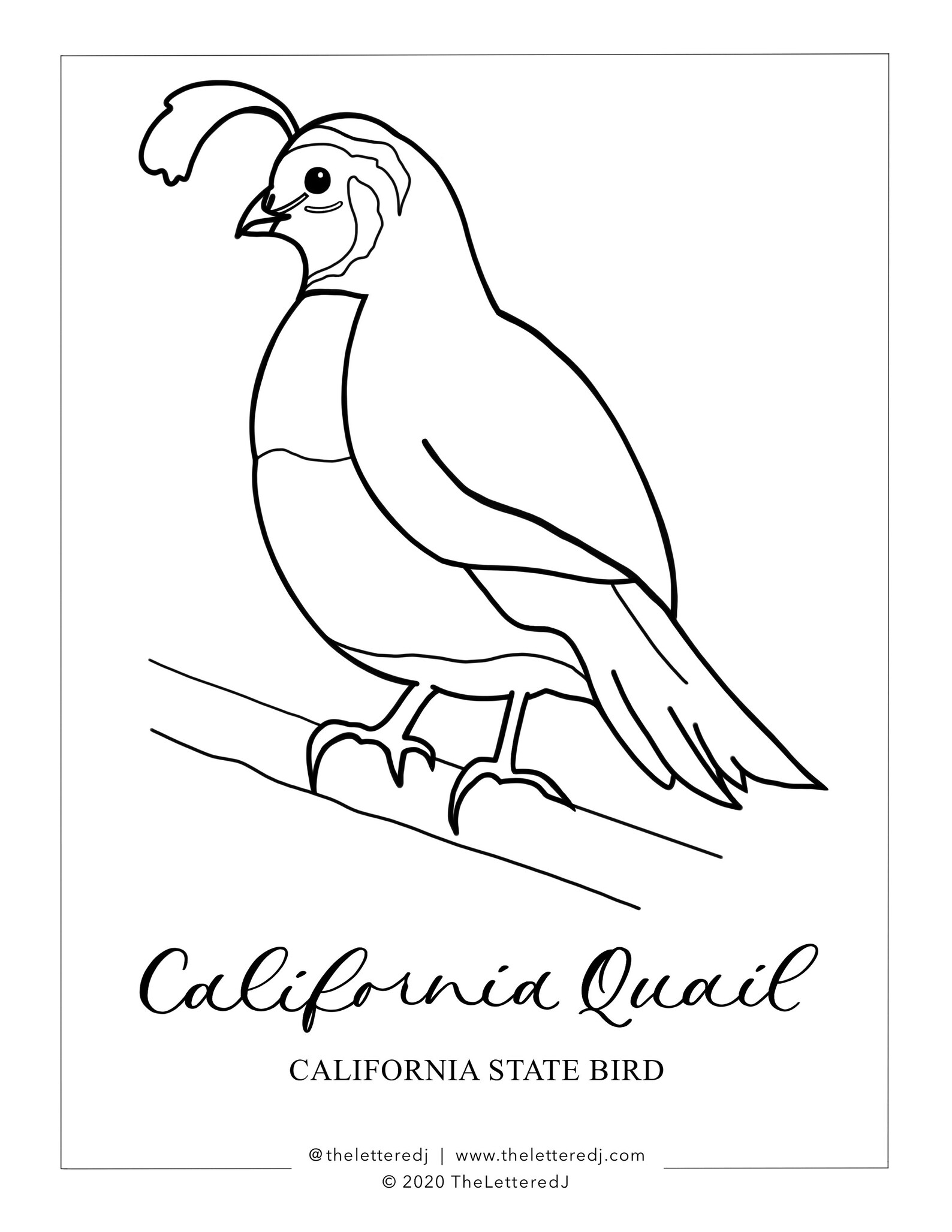 California State Coloring Pages - Etsy