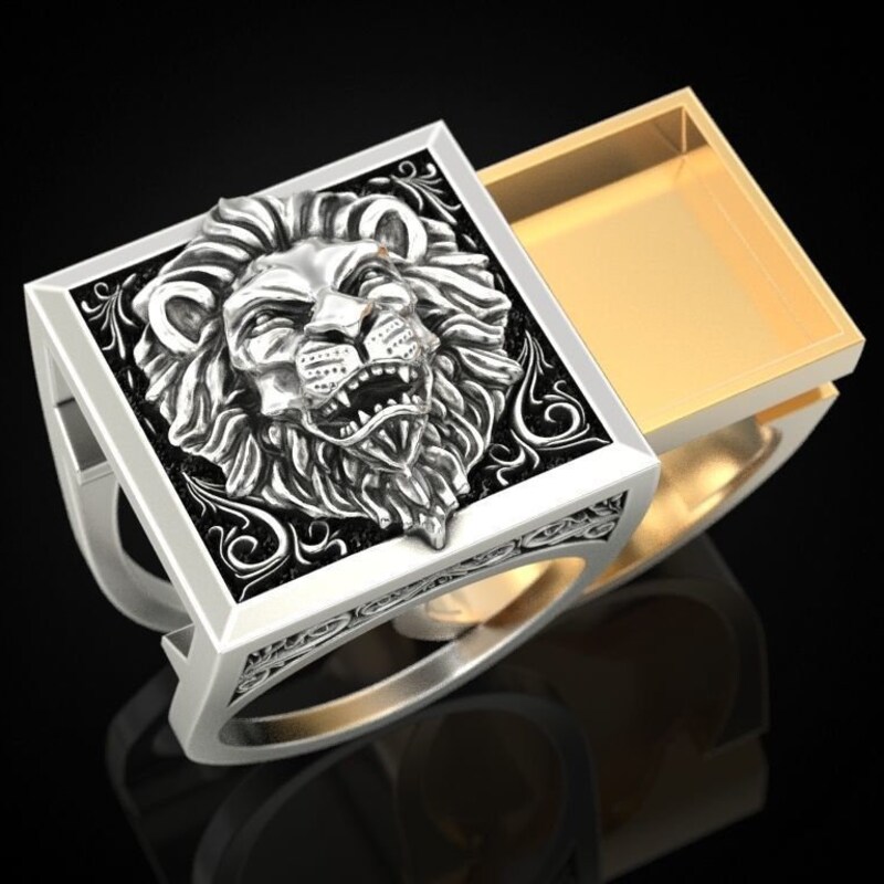 Compartment Ring - Etsy