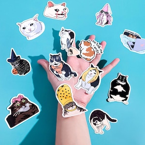 Pole Crying Cat Meme Die Cut Sticker – Cat Meme Sticker, Funny Cat ...