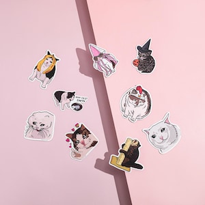 Buffering Cat Meme Sticker – Cat Meme Sticker, Loading Cat Meme, Cat ...