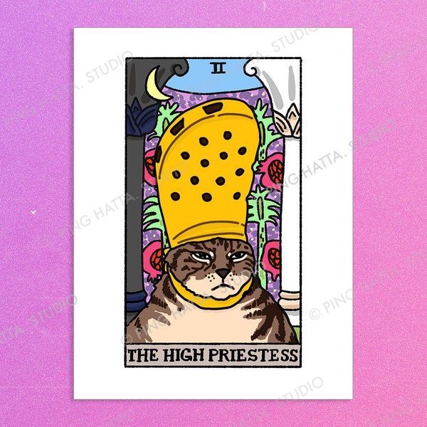 Grumpy Cat Meme - Etsy