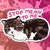 Tarot Cat the Magician Wizard Cat Meme Sticker Cat Meme Sticker, Sad ...