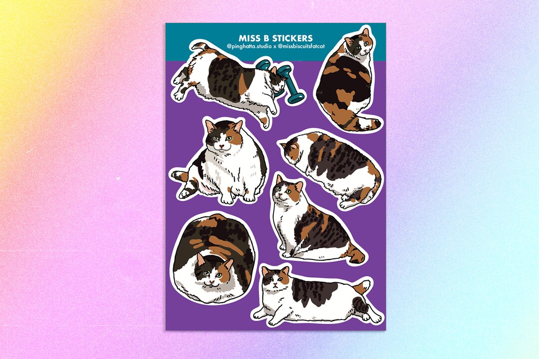 Miss Biscuits X Chonky Goods Sticker Sheet – Funny Chubby Illustrated ...