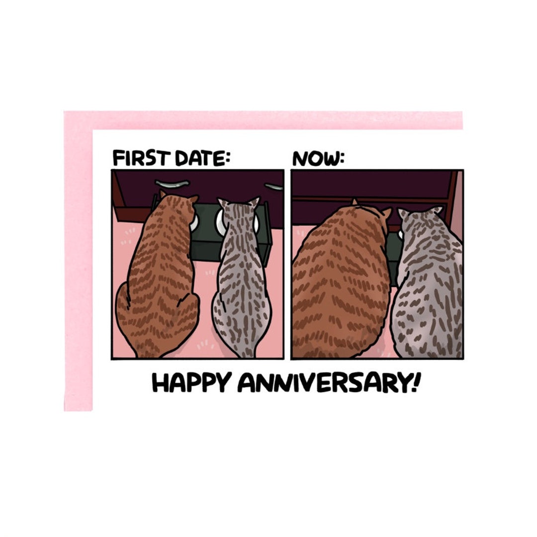 First Date VS Now Funny Anniversary Cat Meme Card Fat Cat Together ...