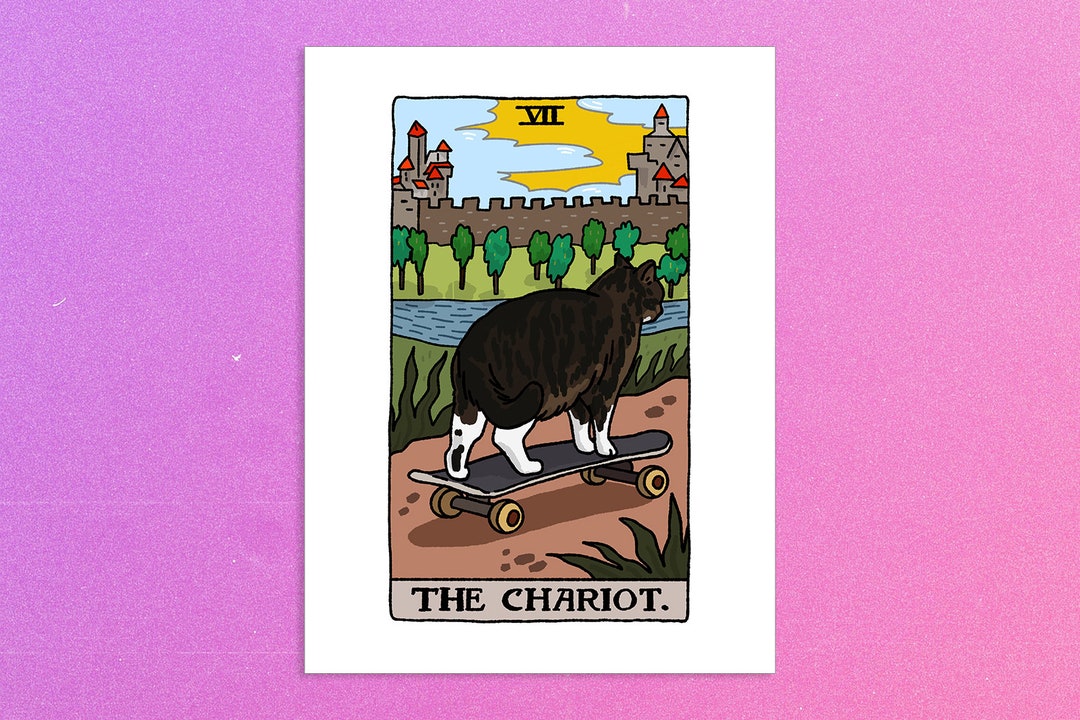 The Chariot Skateboard Bye Adios Cat Meme Tarot Art Poster, Smug Cat ...