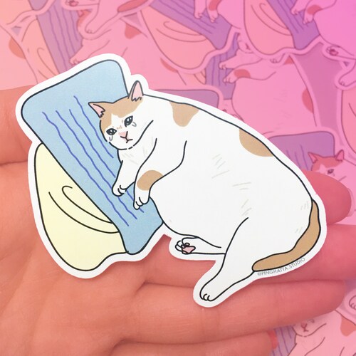 Crying Cat Die Cut Sticker Cat Meme Sticker Sad Cat Meme - Etsy