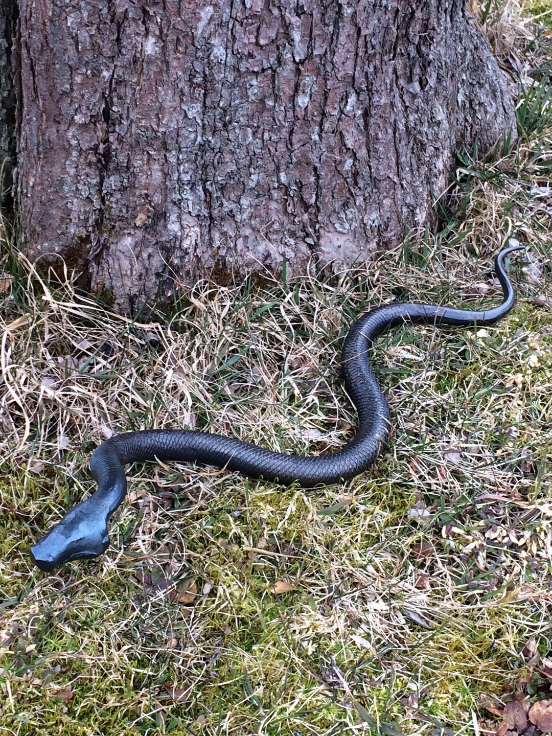 Hand Forged Steel Snake Sculpture, Recycled Rasp Asp Garden Art - Etsy