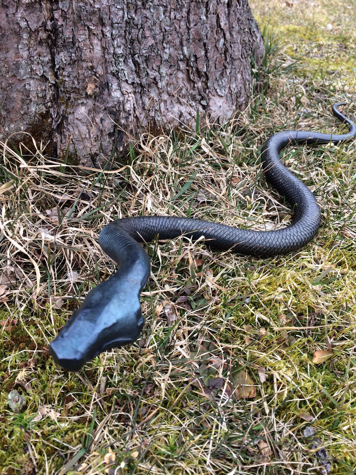 Hand Forged Steel Snake Sculpture, Recycled Rasp Asp Garden Art - Etsy