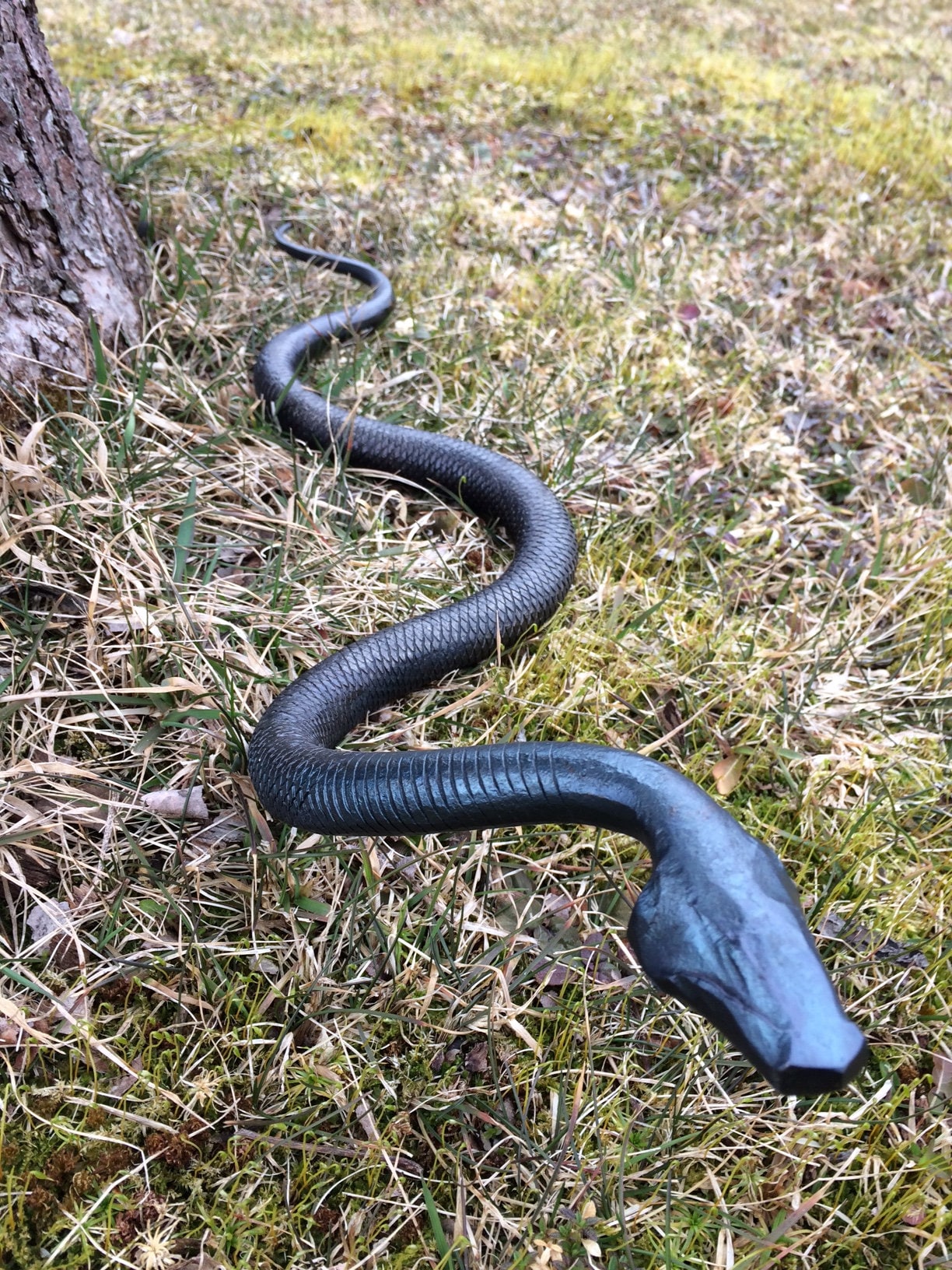Hand Forged Steel Snake Sculpture, Recycled Rasp Asp Garden Art - Etsy