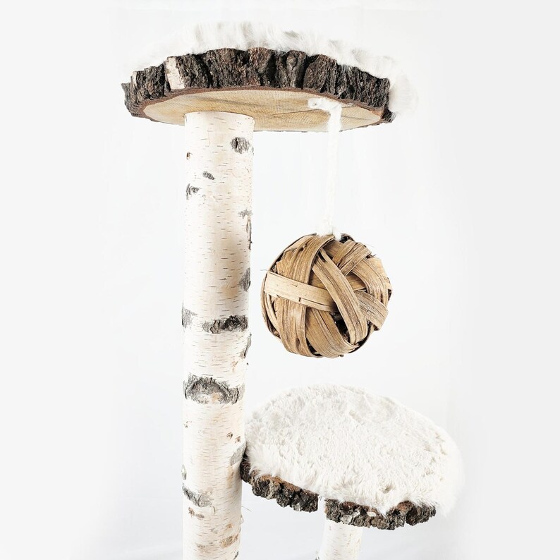 Modern Scratching Post Made of Birch Wood - Etsy