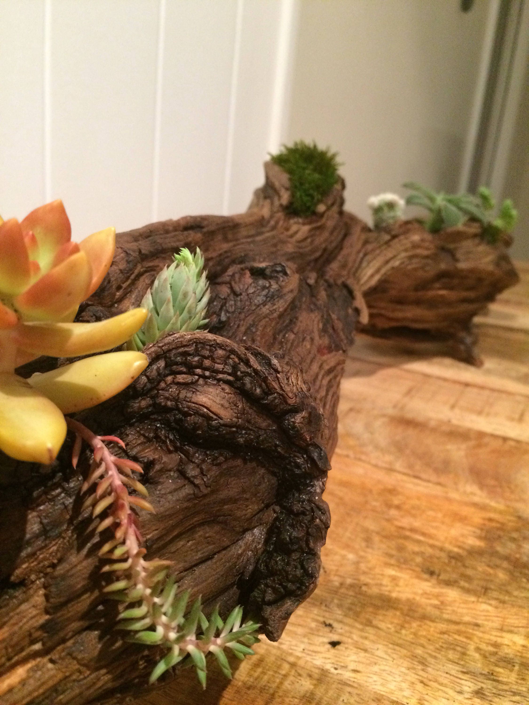 Australian Tree Root Centrepiece - Etsy Australia