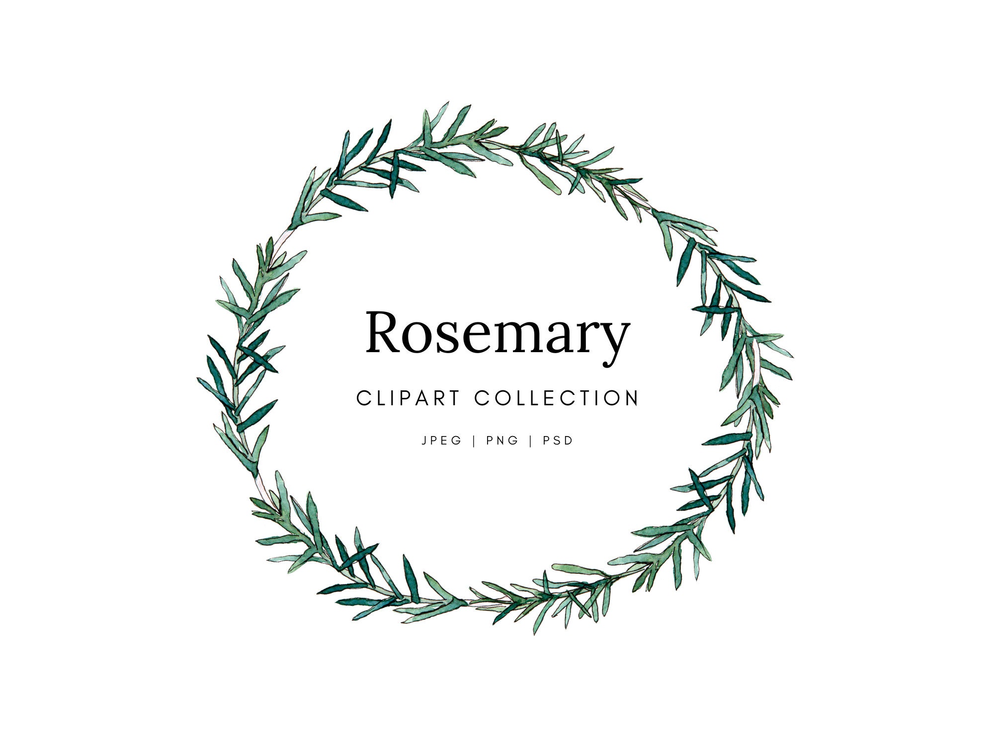 Rosemary Wreath Watercolor Clipart - Hand-drawn Frames and Springs in ...