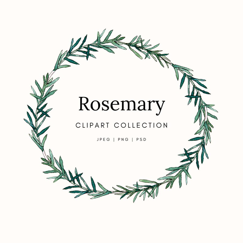Rosemary Wreath Watercolor Clipart Hand-drawn Frames and - Etsy