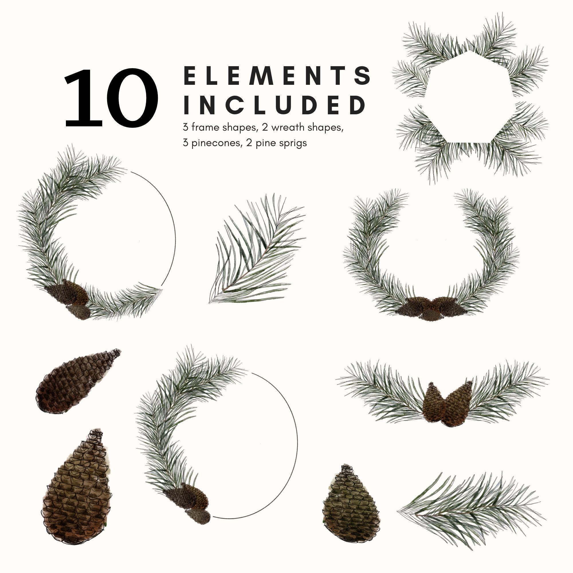 Pine Cone Graphics Clipart Set. Commercial Use. Wreaths and Frames ...