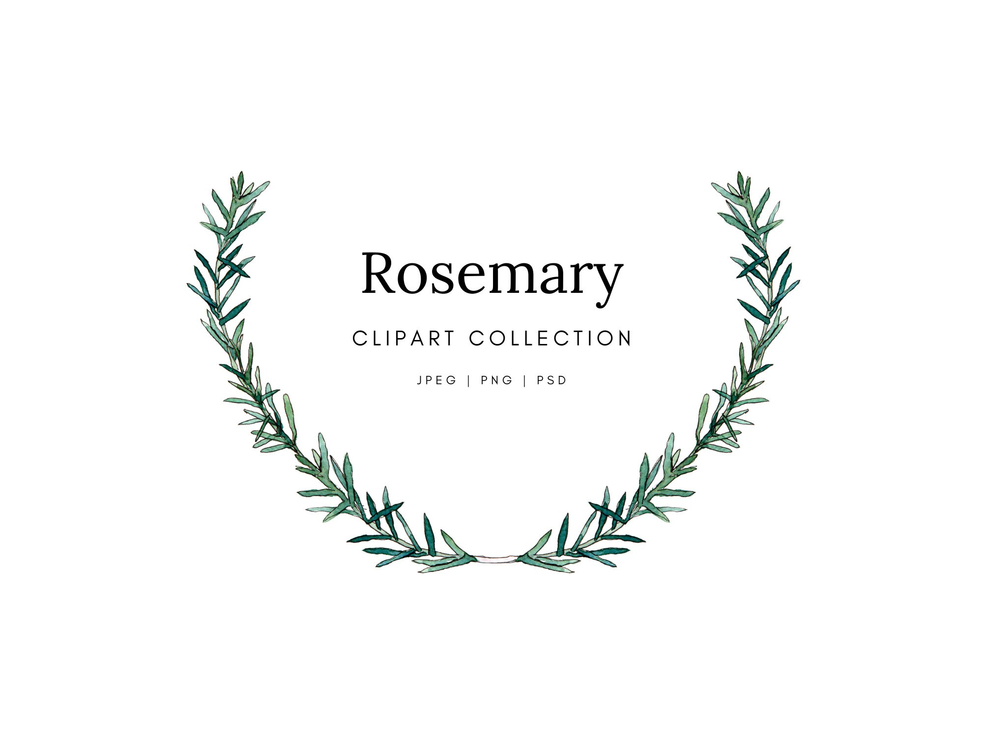 Rosemary Wreath Watercolor Clipart - Hand-drawn Frames and Springs in ...