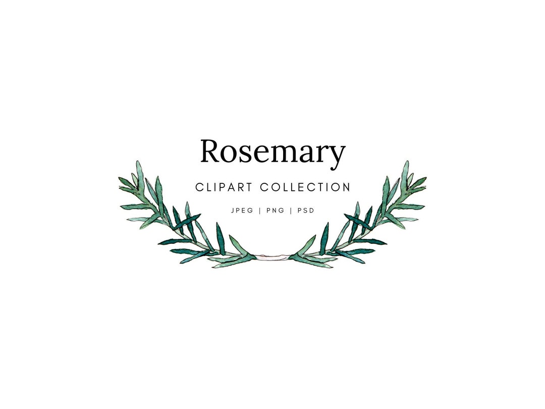 Rosemary Wreath Watercolor Clipart Hand-drawn Frames and Springs in ...