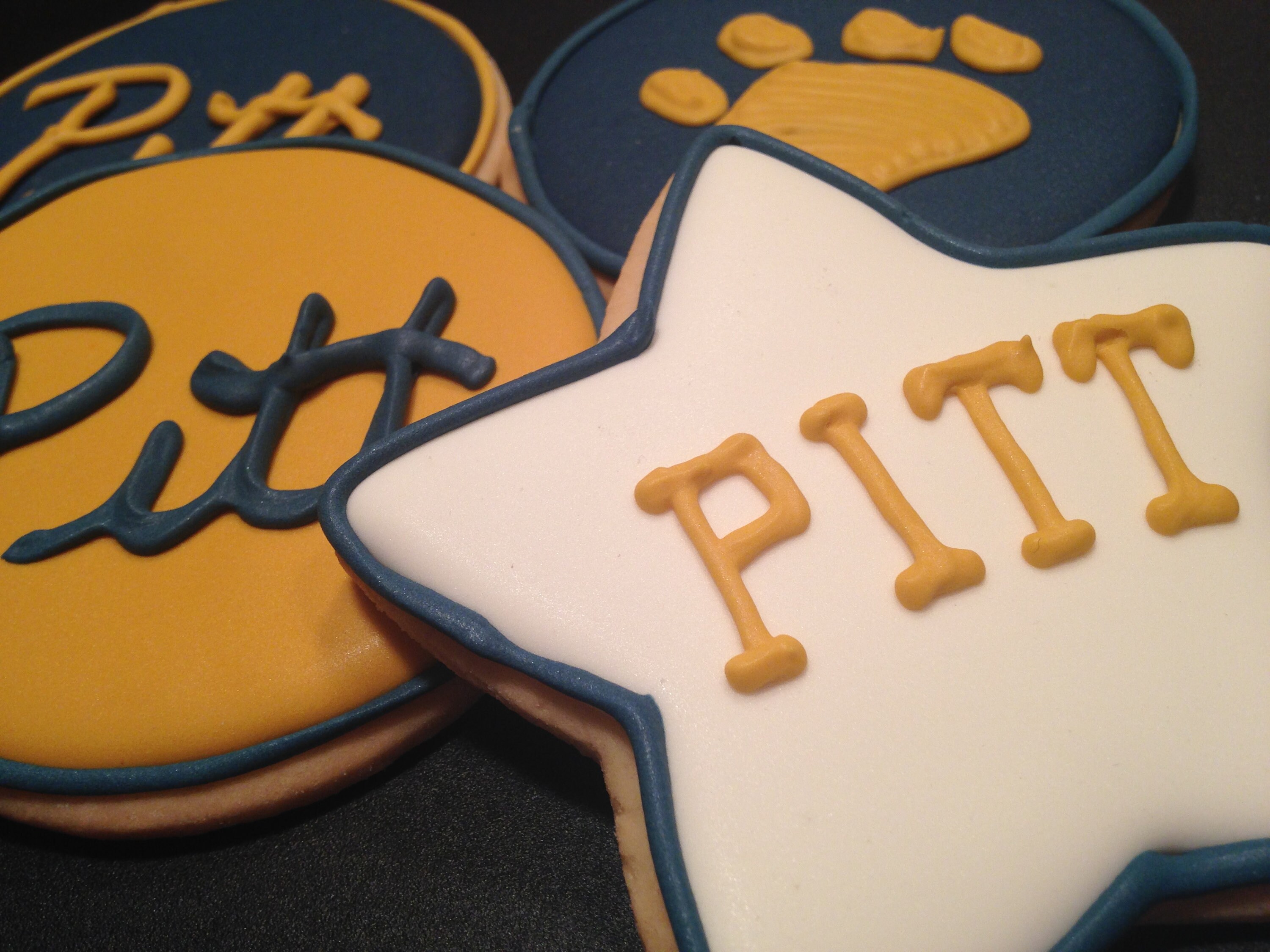 1 Dozen Pitt Panther throwback jerseys Pitt paw print | Etsy