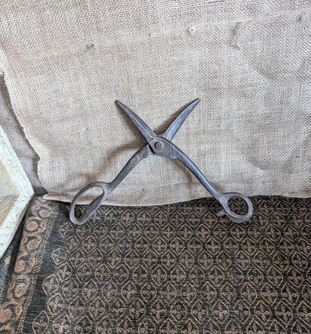 Victorian Tin Snips / Metal Cutters - Etsy