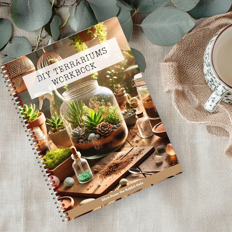 Mini Terrarium - Etsy