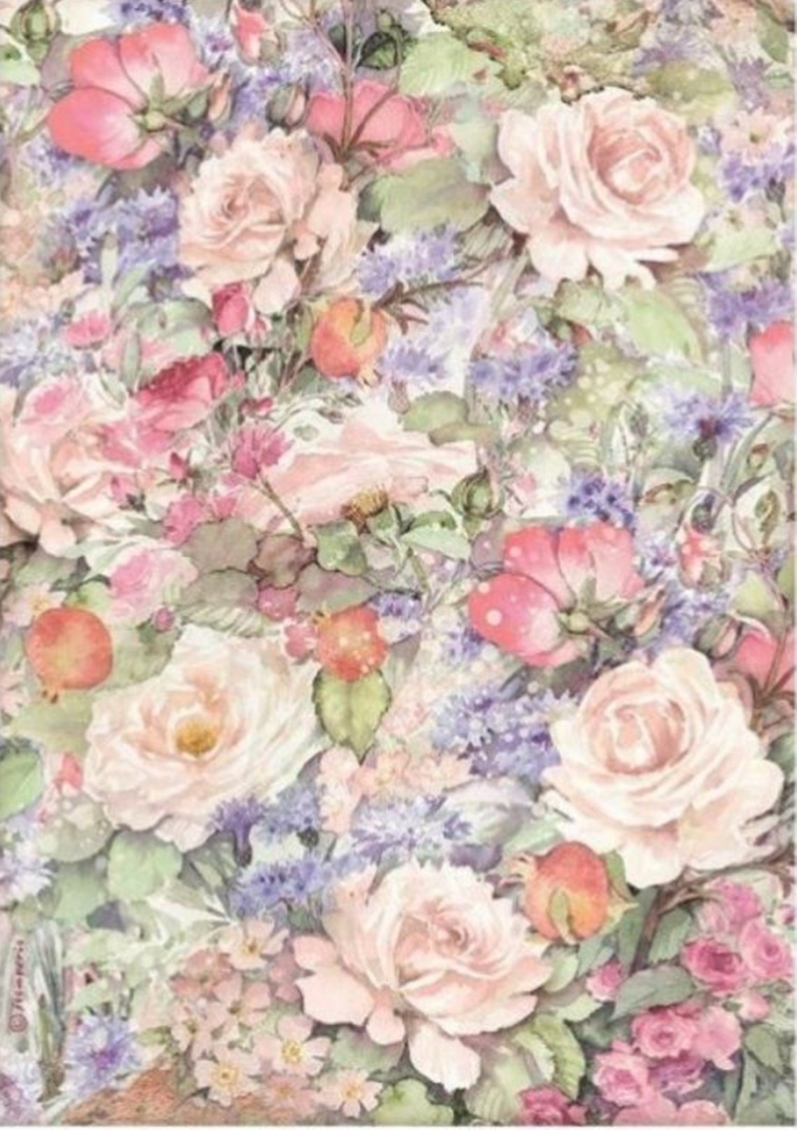 Rice Paper Decoupage A4 Stamperia DFSA4660 - Etsy