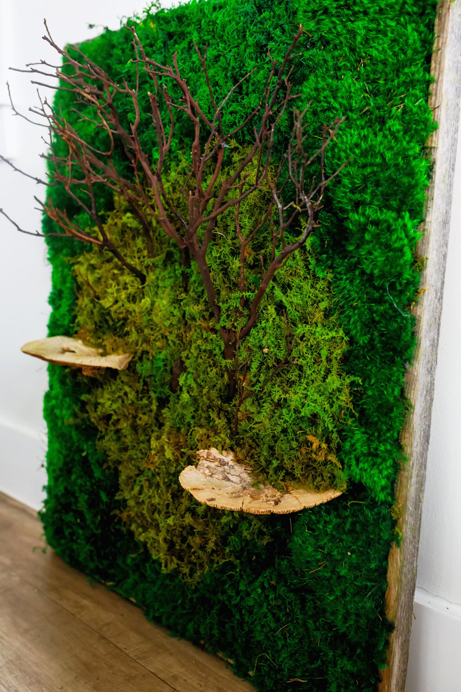 Preserved Moss Wall Art Real Preserved Moss With Zero Maintenance ...