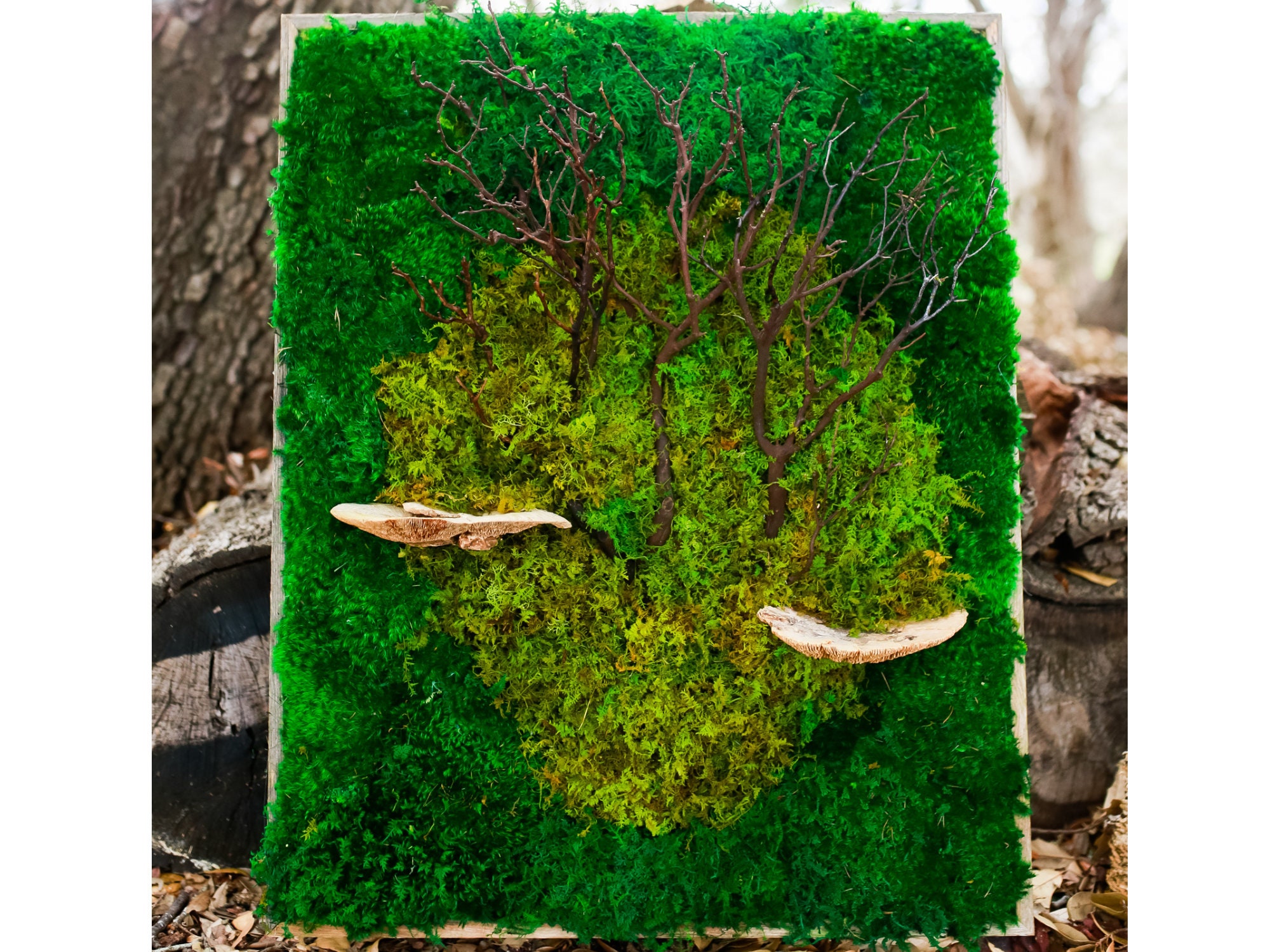 Preserved Moss Wall Art Real Preserved Moss With Zero Maintenance ...