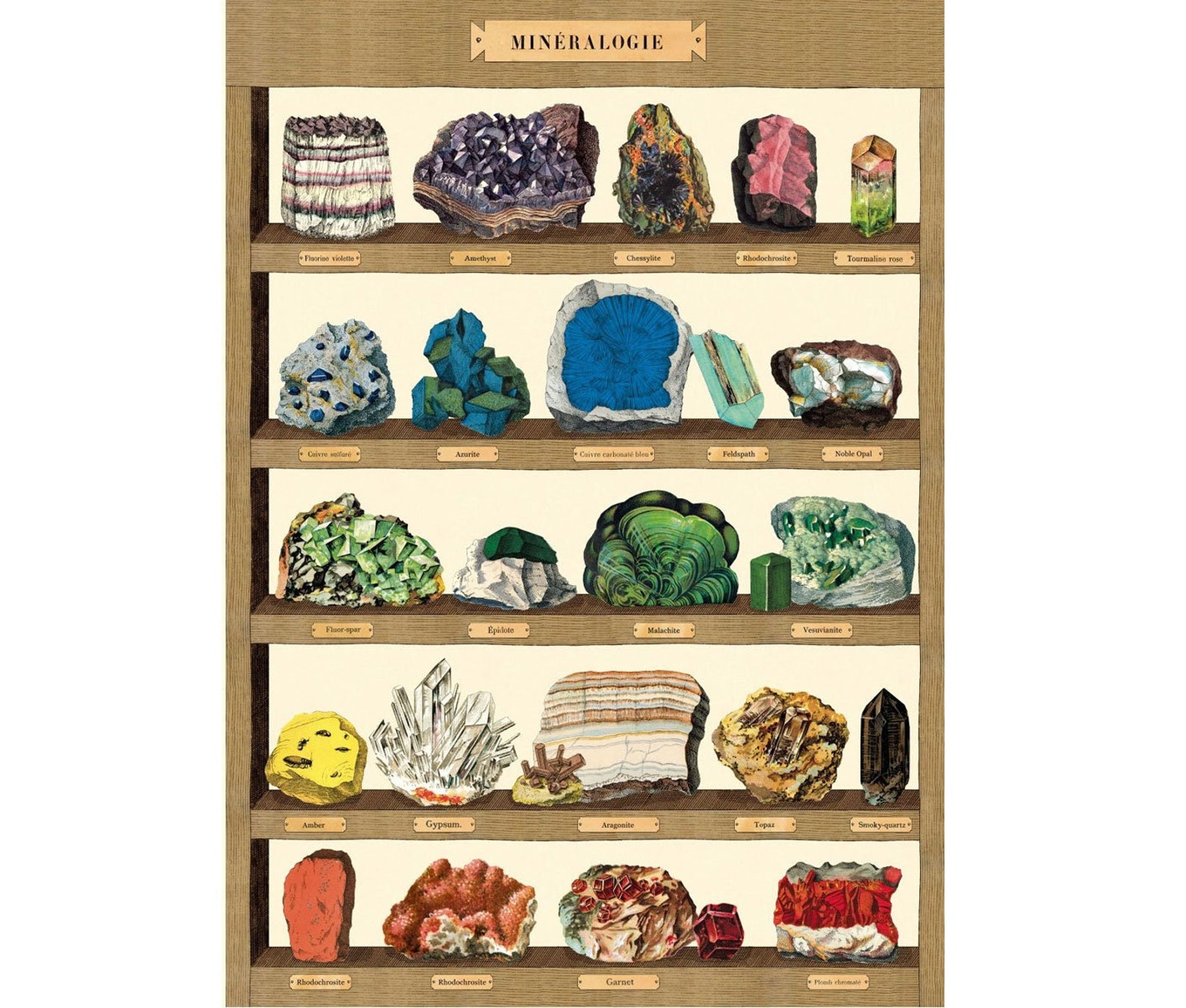Mineral Specimens Cavallini Poster – Mineralogie - Vintage Wall Print ...