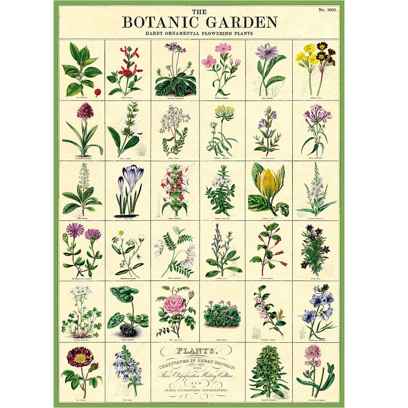 Botanical Poster - Etsy