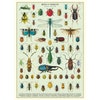 Printable Bee Art Print - Types of Bees Poster - Bug Print - Homeschool ...