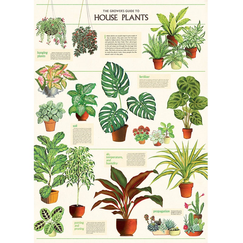 Plant Poster - Etsy