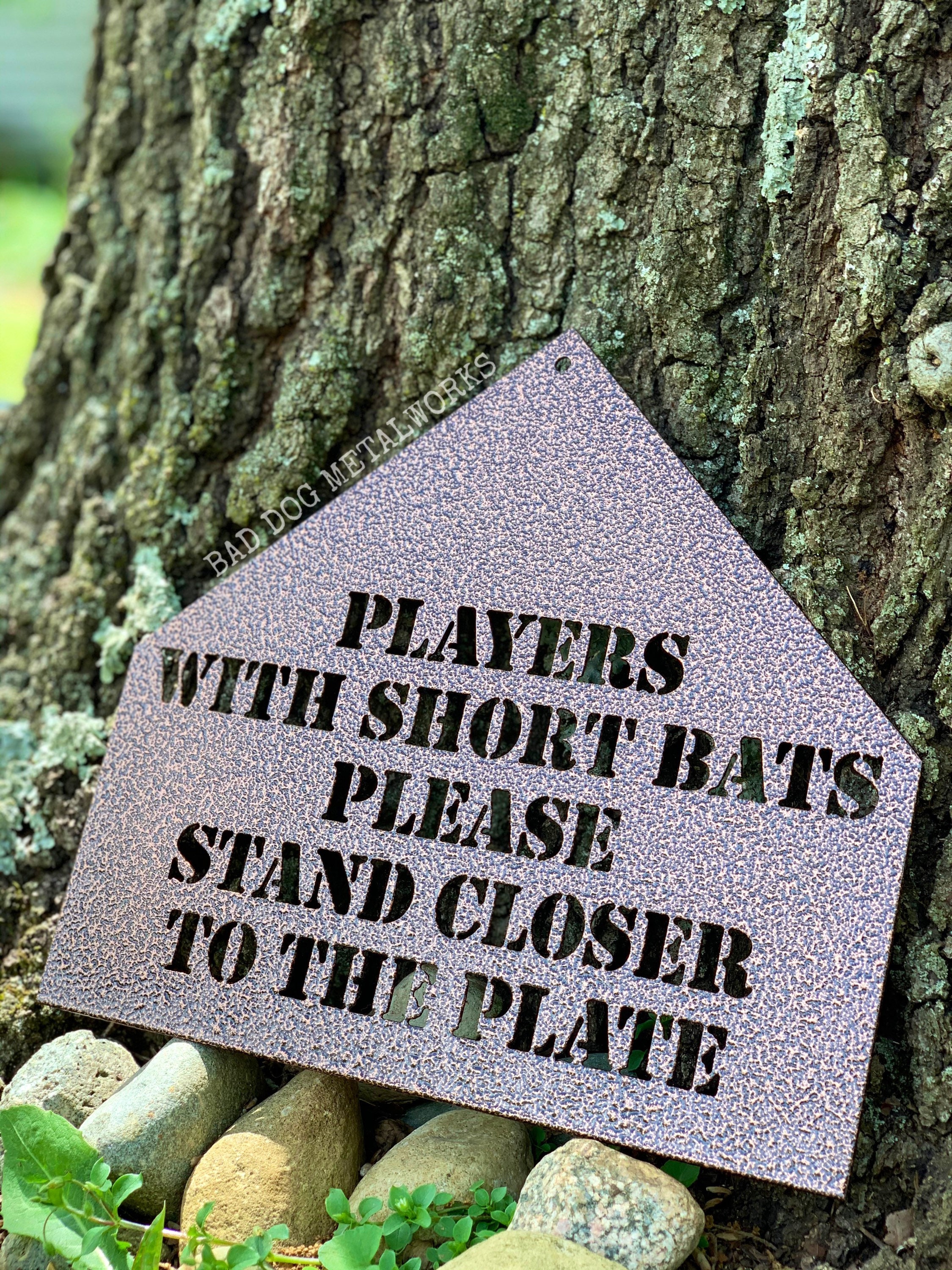 Players With Short Bats Please Stand Closer to the Plate - Bad Dog ...